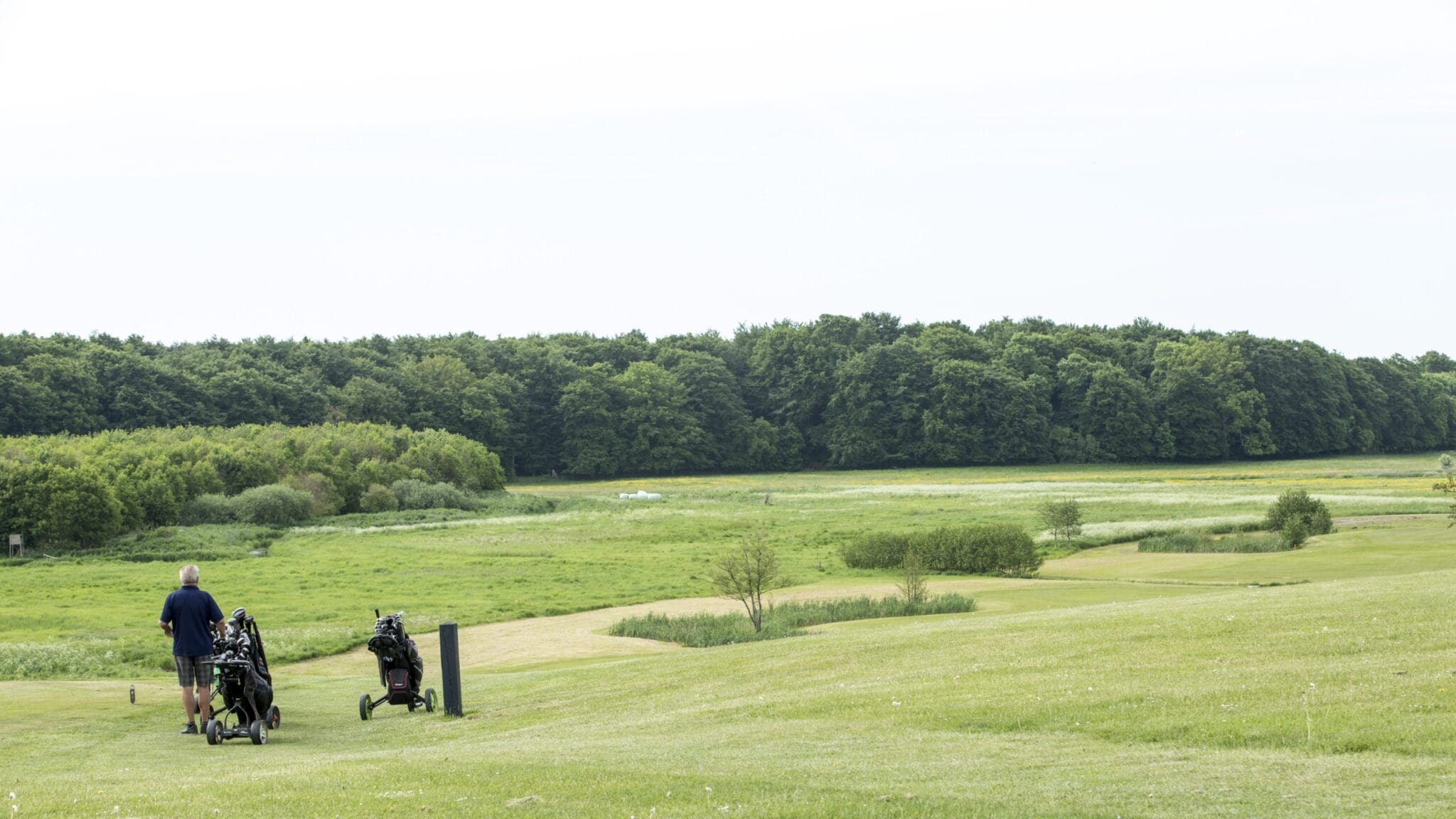 Forside - Halsted Kloster Golfklub